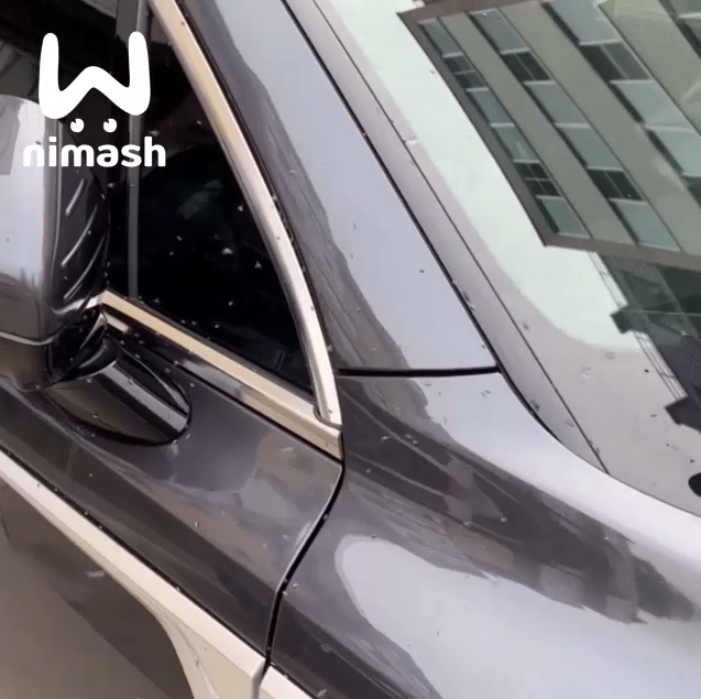 Мошкара нападает! Полчища кровососущих держат в страхе нижегородскую Выксу